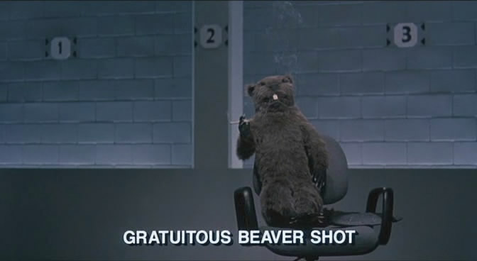 Photo: gratuitous beaver shot | Crazy stuff from the web album | FINKS ...