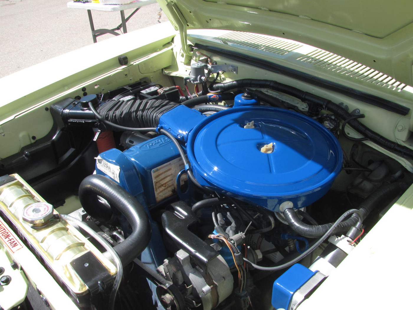 Photo: IMG 9448 | Rochelle Gardens Cruise 2015 album | NitroMarty | Fotki.com, photo and video ...