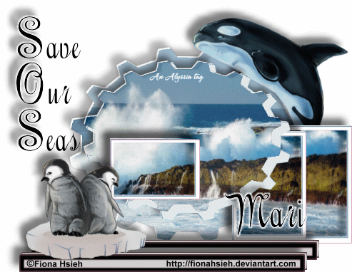 Photo: Mari SOS FionaHsieh Alyssia | SOS Save Our Seas ©Fiona Hsieh ...