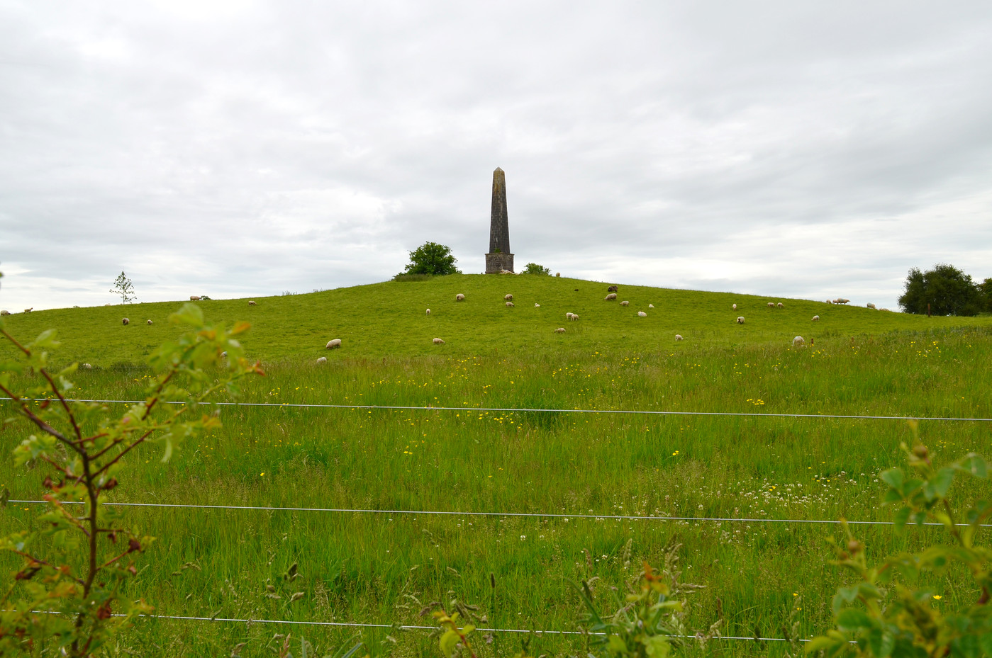 Photo: Killua Castle | Killua Castle, Co.Westmeath album | ~~~MARIA ...