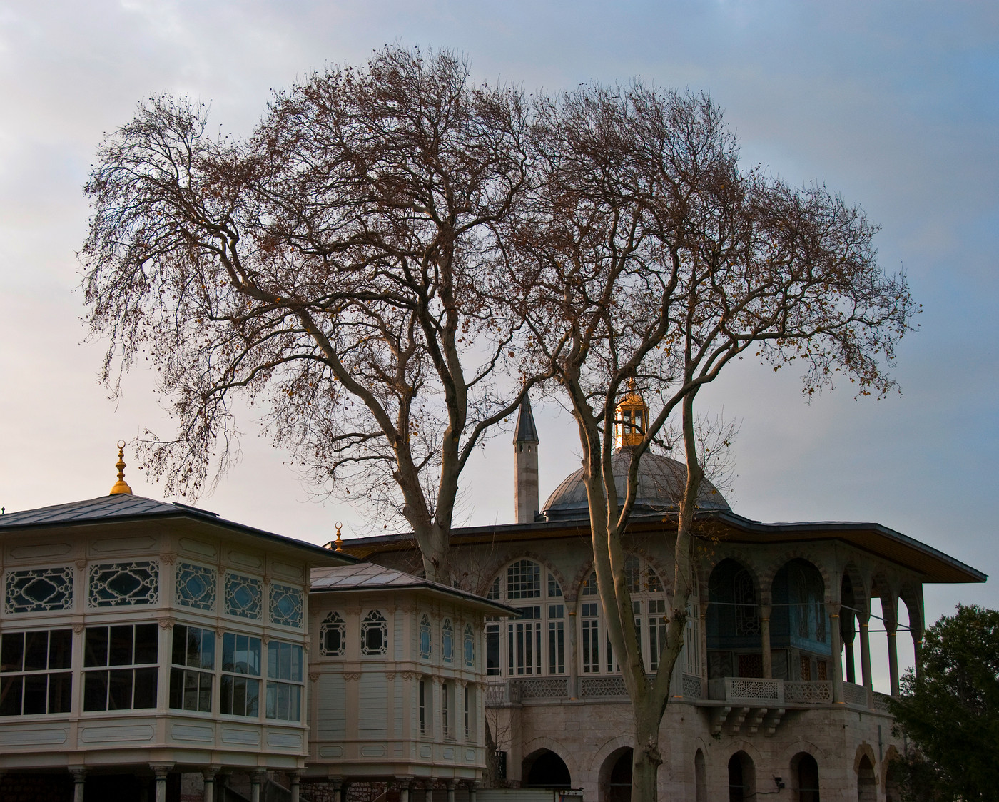 Photo: Trees at Topkapi Palace | Istanbul 04: Shots from the Topkapi ...