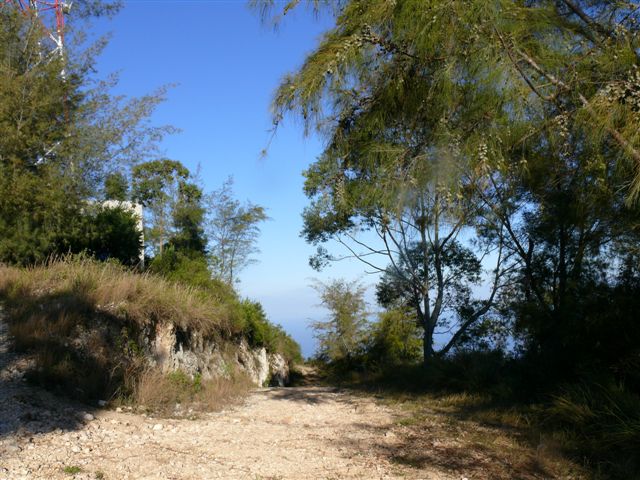 Haiti, Tara's & Surroundings album | Pikliz.com | Fotki.com, photo and ...