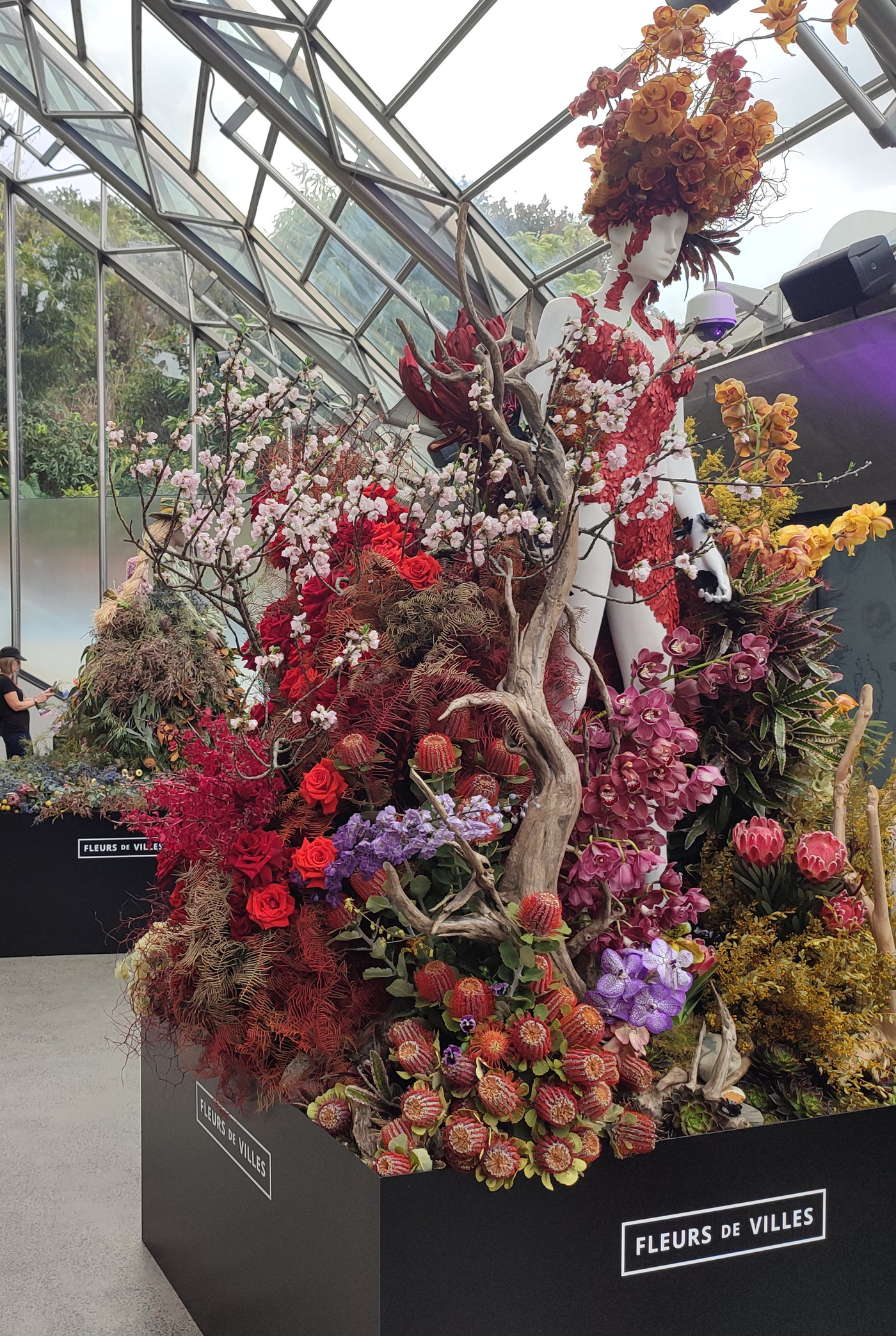 Photo: 2022 08 23 26 Botanical Gardens Flower displays | 2022 08 23 ...