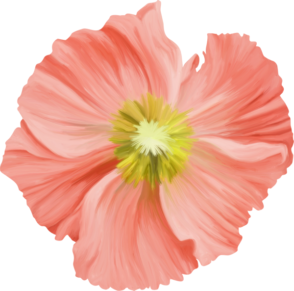 Photo: Tiki Bar (37) | Tiki Bar album | Jossie | Fotki.com, photo and ...