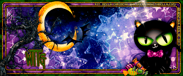 Photo: EMI-WTTG-GatitoNegro-2019083123 | Sentiment Fall/Halloween Extra ...