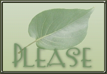 Photo: leaf naj please-vi | leaftagset album | AngelDragon's Lair ...