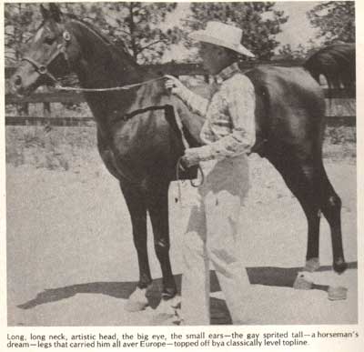 Photo: *WITEZ II with Burr Betts | Arabian Horse: *Witez II album ...