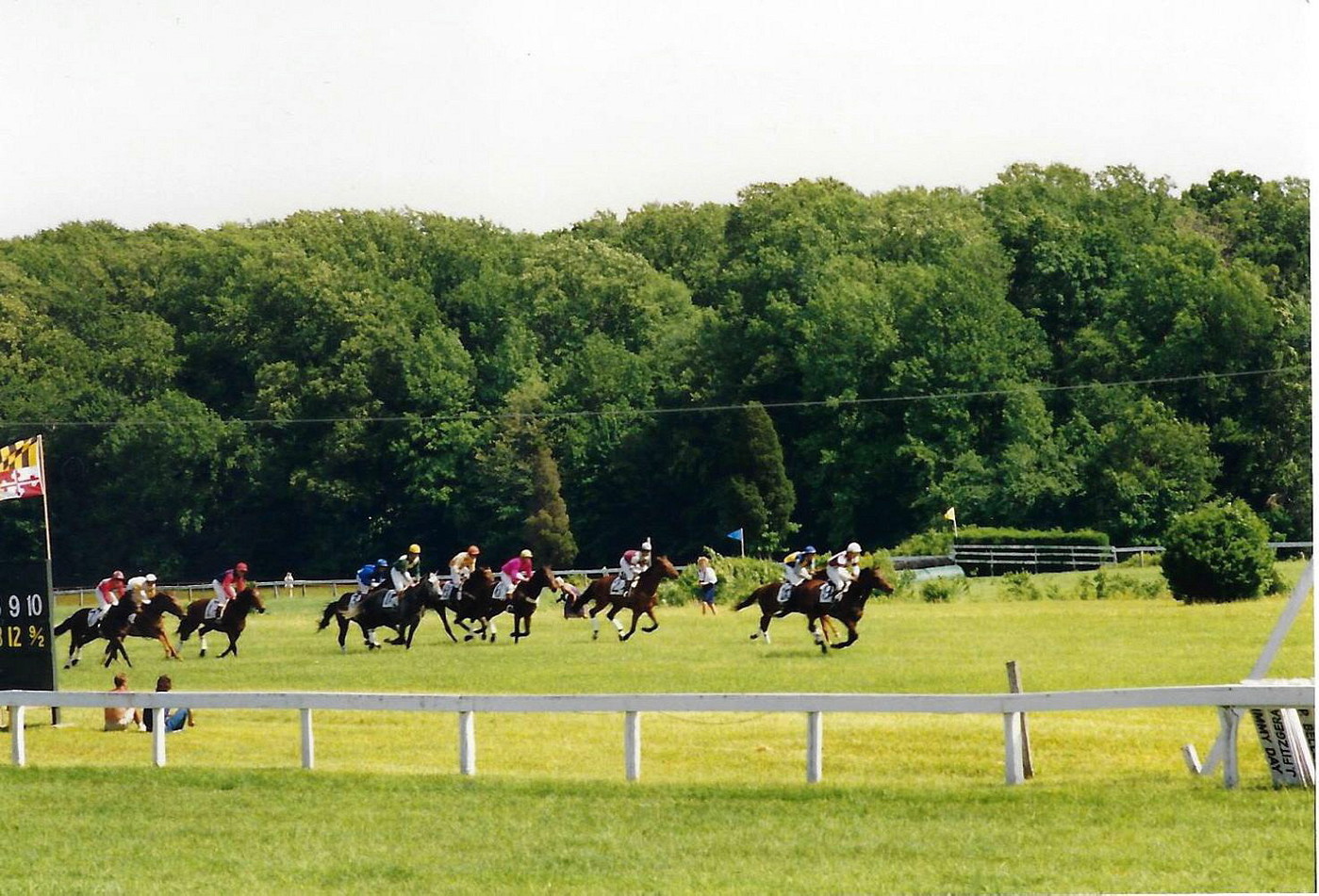 Photo: A Turf Race in Progress at the Fair Hill Races in Elkton ...