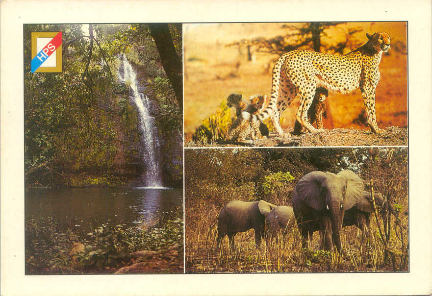 Photo: Benin - LEOPARD NA | 302 NATIONAL ANIMALS (NA) album | Inigocia ...