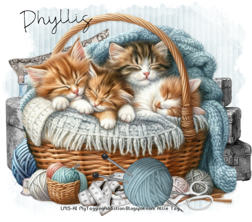 Photo: Phyllis BasketofKittensAWA-vi | Dogs & Cats album | PhyllisE ...